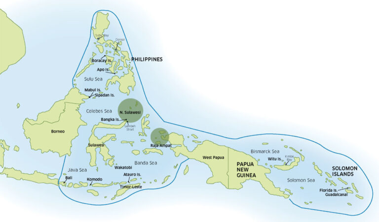 CORAL TRIANGLE CONSERVANCY – The world’s coral reefs are threatened ...